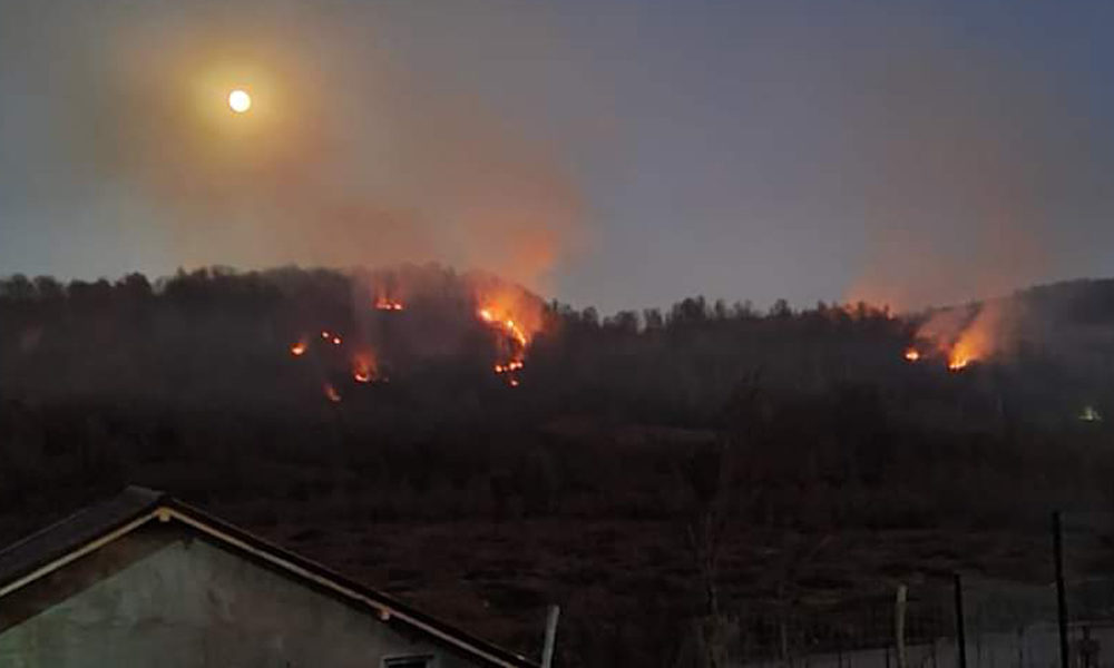 Incendiu de pădure între Pucioasa şi Glodeni! Focul a fost pus ...